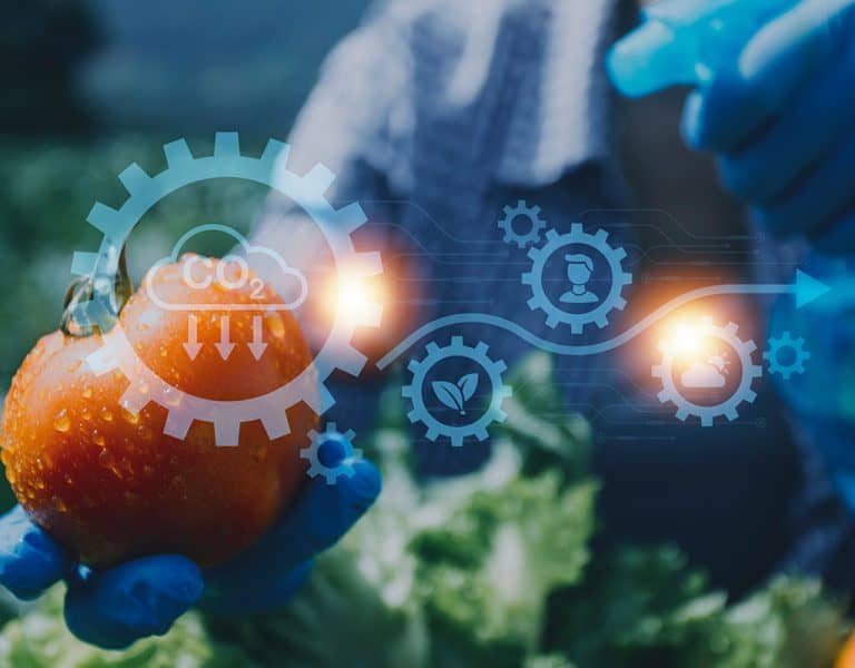 Downloads - Softlogic Australia